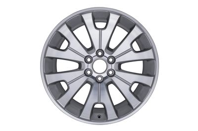 GM 19301161 - Genuine GM Parts